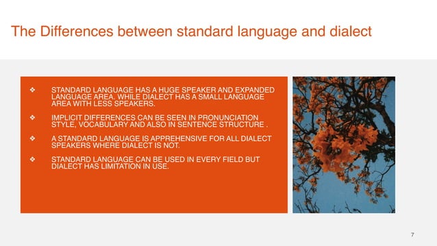 Standard Language | PDF