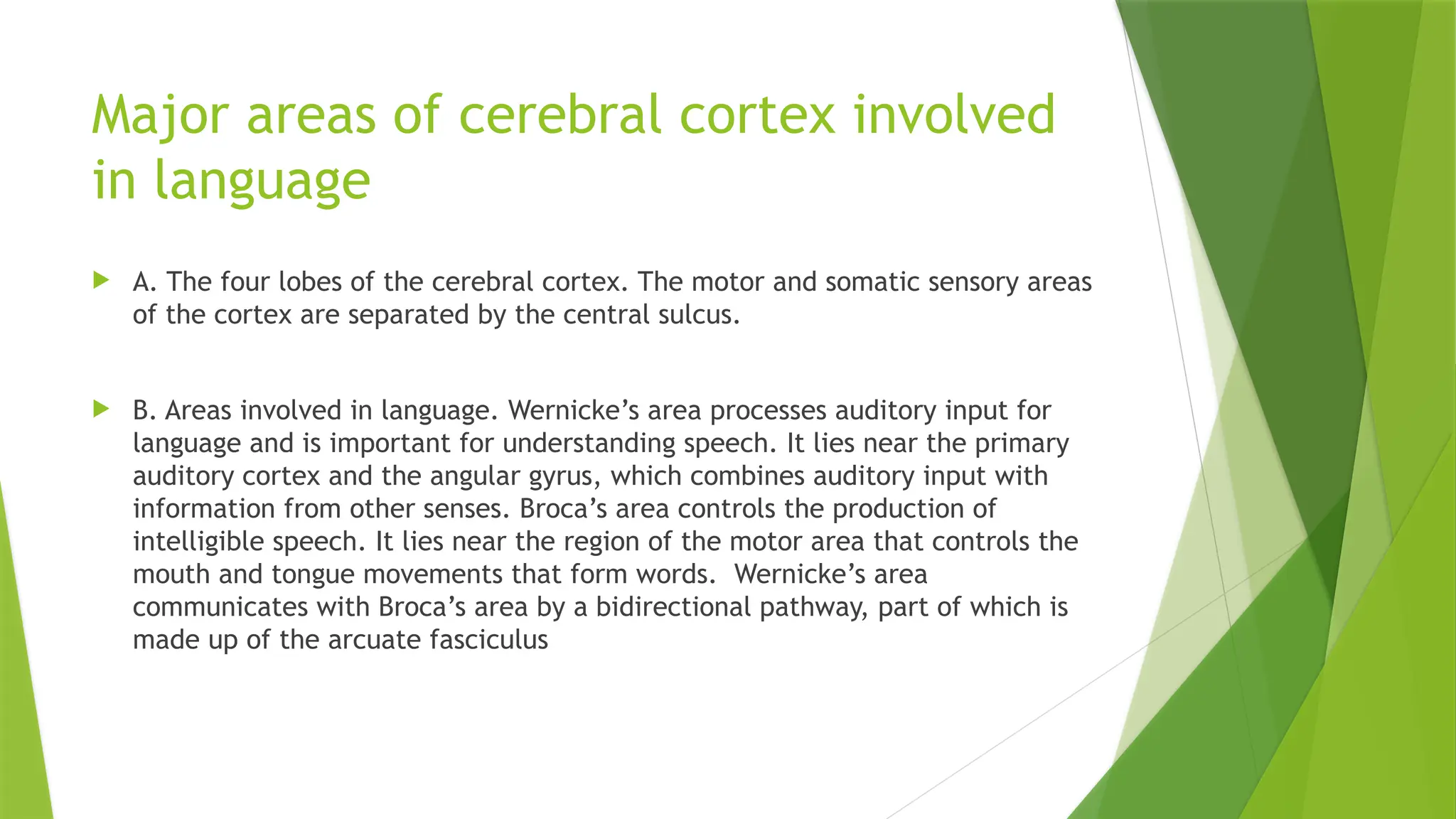 Neuroscience : Three kinds of Aphasia.pptx
