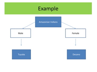 Language culture and education (John Edwards, 1994) | PPTX