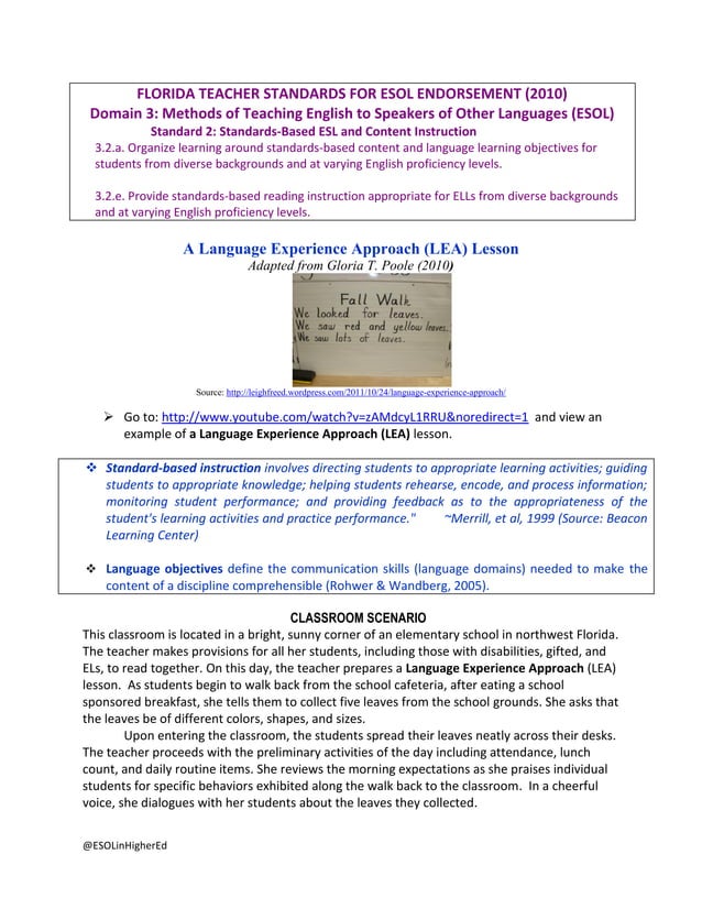 Language Experience Lesson Activity | PDF