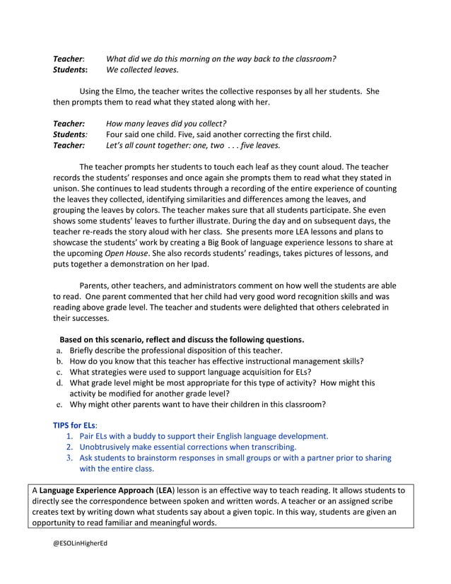 Language Experience Lesson Activity | PDF