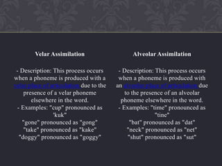 phenological process | PPT