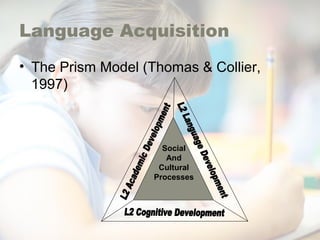 Language acquisition | PPT