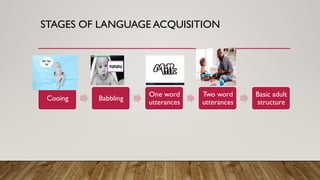 Language Acquisition in english learning.pptx
