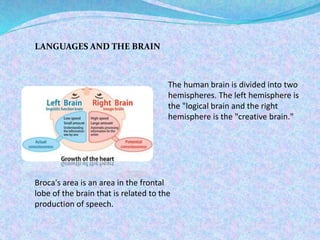 Language acquisition activity 1.3 | PPT