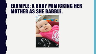 The Theories of Language Acquisition | PPTX