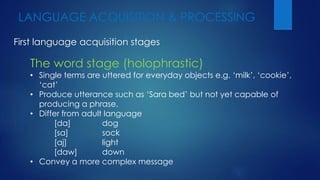 Language acquisition &language processing | PPTX