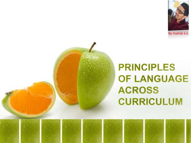 Language across curriculum: Meaning, definition and principles. | PDF