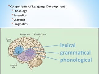 Language and its Function | PPTX