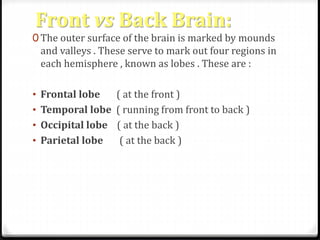 Language and brain | PPTX