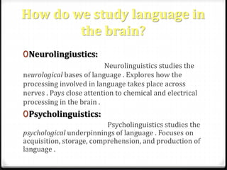 Language and brain | PPTX