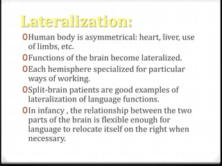 Language and brain | PPTX