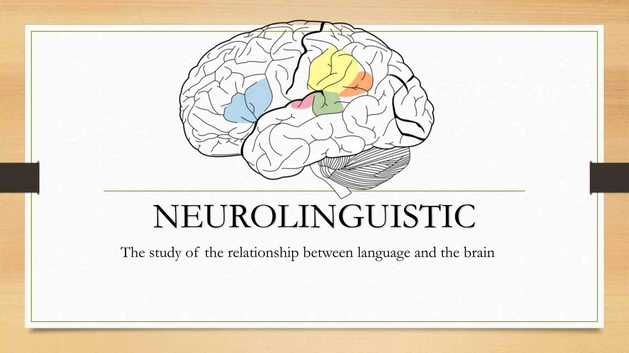 Language and brain | PPT