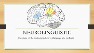 Language and brain | PPTX
