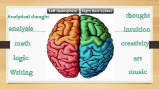Language and brain | PPT