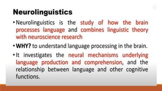 LANGUAGE AND BRAIN :Relationship Between Language and the Brain | PPT