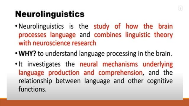 LANGUAGE AND BRAIN :Relationship Between Language and the Brain | PPTX