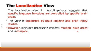 LANGUAGE AND BRAIN :Relationship Between Language and the Brain | PPT