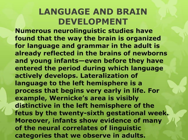 Language and brain development | PPTX | Brain and Nervous System ...