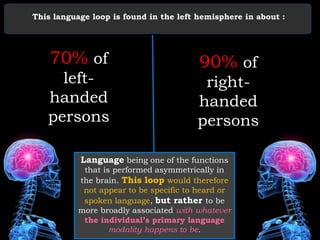 Language and Human's Brain | PPTX