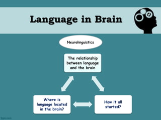 Language and Human's Brain | PPTX