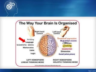 Language and Human's Brain | PPTX