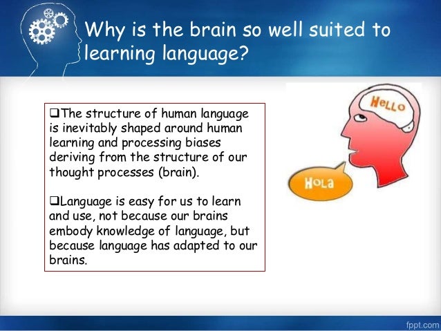 Language and Human's Brain