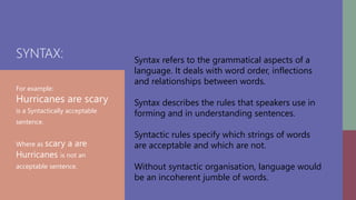 Language and its components.pptx