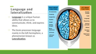 Language and Lateralization : Broca's and Wernicke's Aphasia | PPTX