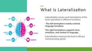 Language and Lateralization : Broca's and Wernicke's Aphasia | PPTX