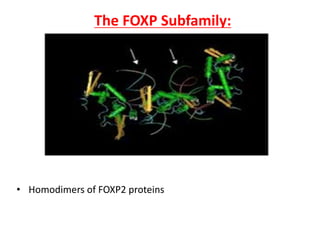 Language and speech disorders genetics.pptx