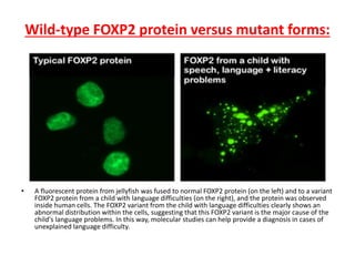 Language and speech disorders genetics.pptx