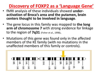 Language and speech disorders genetics.pptx