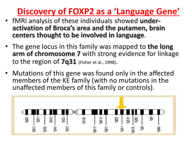 Language and speech disorders genetics.pptx