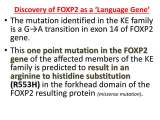 Language and speech disorders genetics.pptx