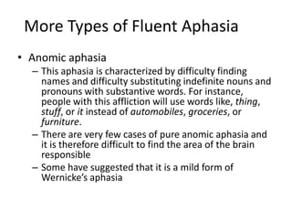 Language and the brain | PPTX