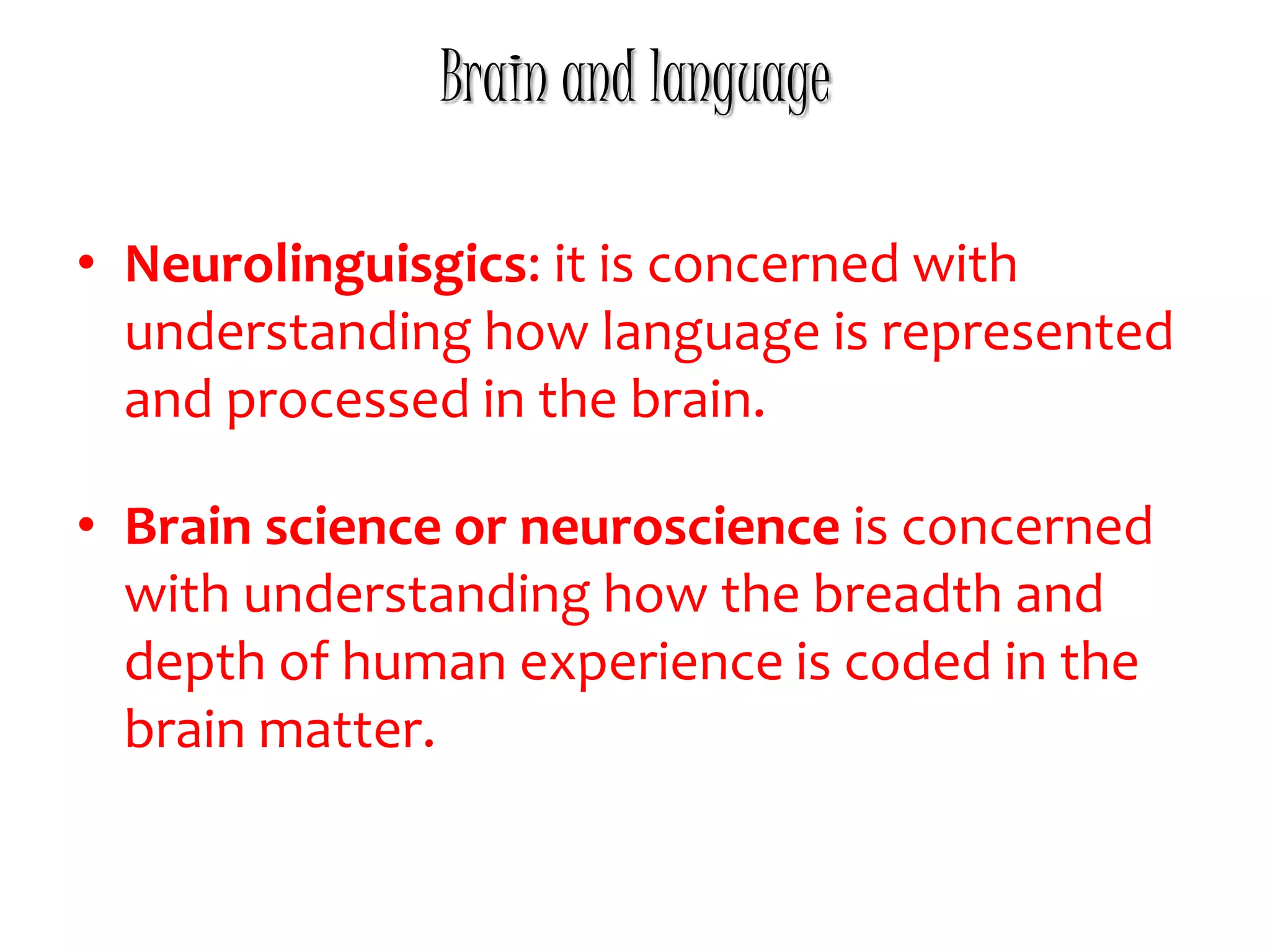 Neurolinguistics: Brain and Language | PPTX