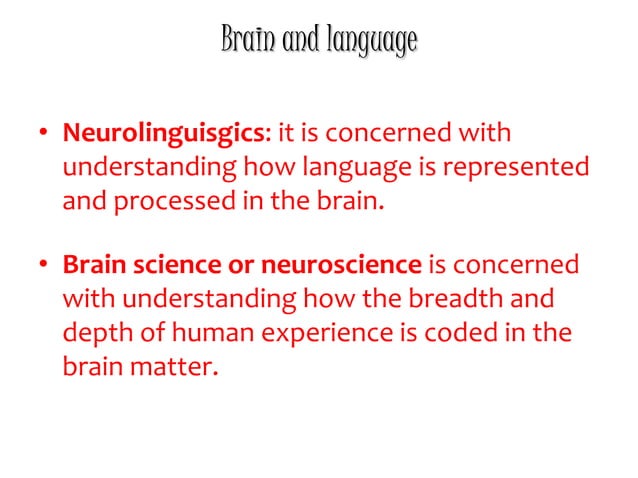 Neurolinguistics: Brain and Language | PPTX | Brain and Nervous System ...