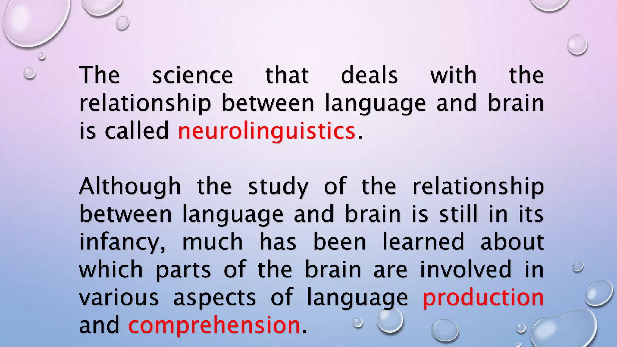 Language and the brain | PPTX