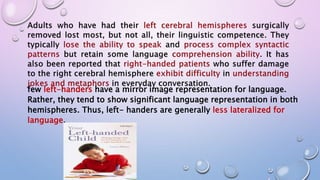 Language and the brain | PPTX