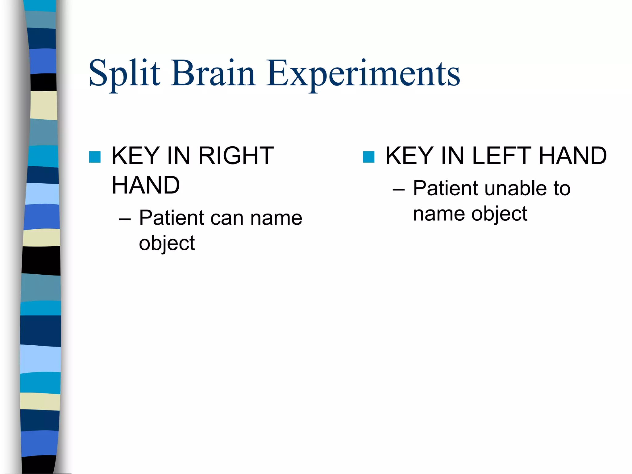 language and brain.ppt