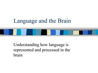 language and brain.ppt