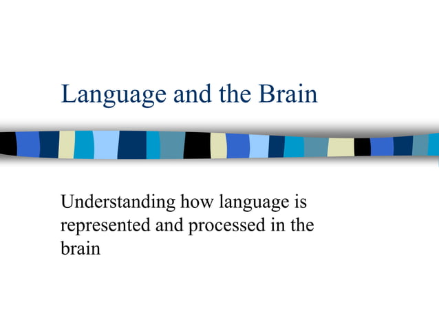 language and brain.ppt