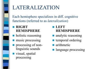 language and brain.ppt