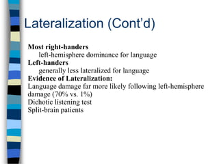language and brain.ppt