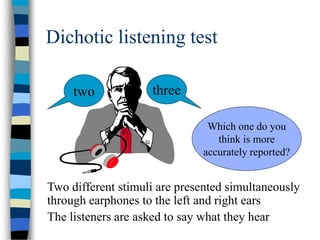 language and brain.ppt