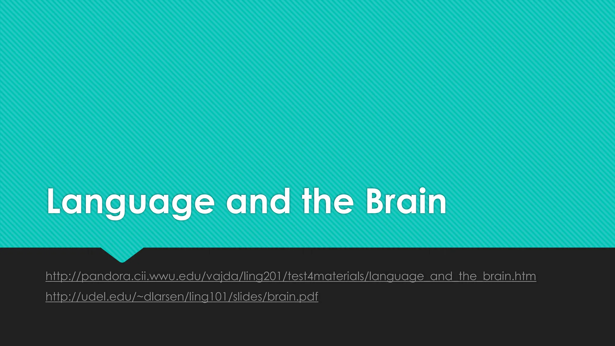 Language and the Brain in English Language.pdf