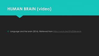 Language and the Brain in English Language.pdf