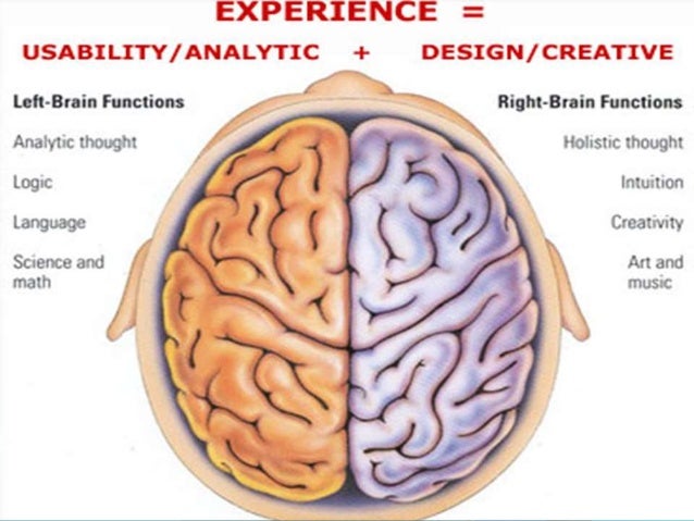 Language and the brain 1