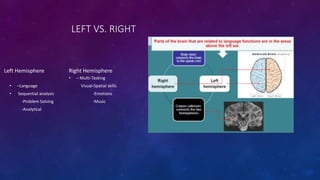 Language And The Brain FINAL.pptx | Brain and Nervous System Disorders ...